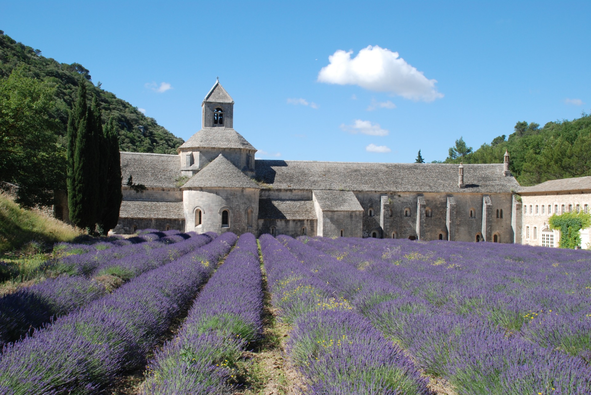 Provence, Luberon & Lavendel Radtour